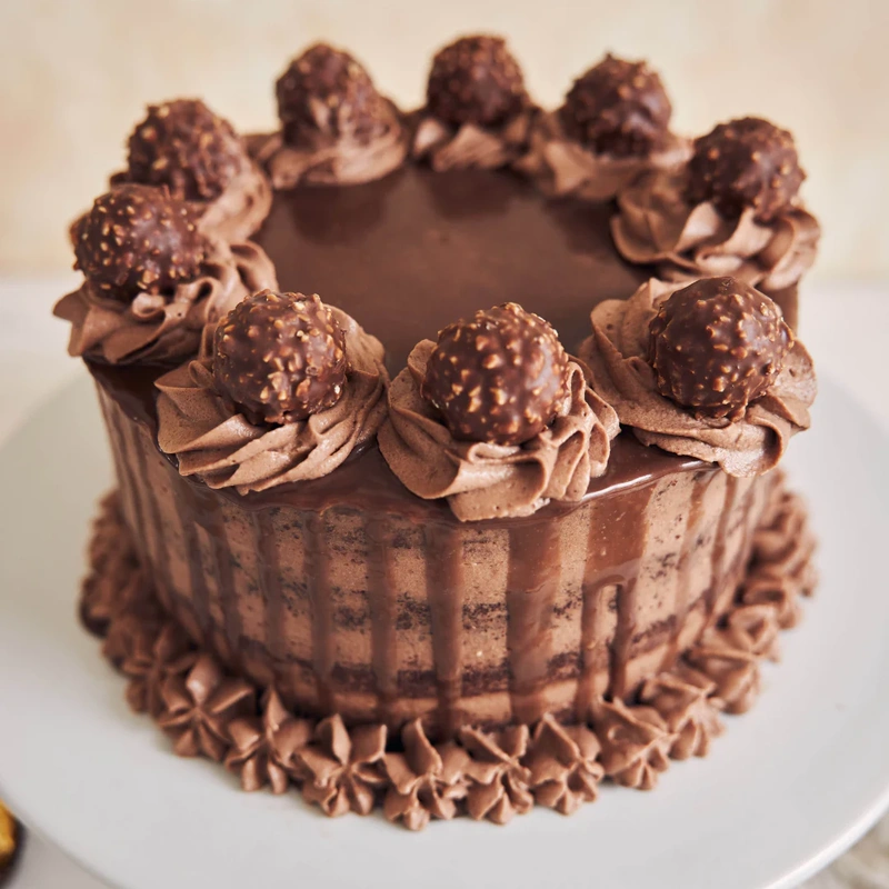 Decadent Chocolate Crunchy Ball Cake Recipe